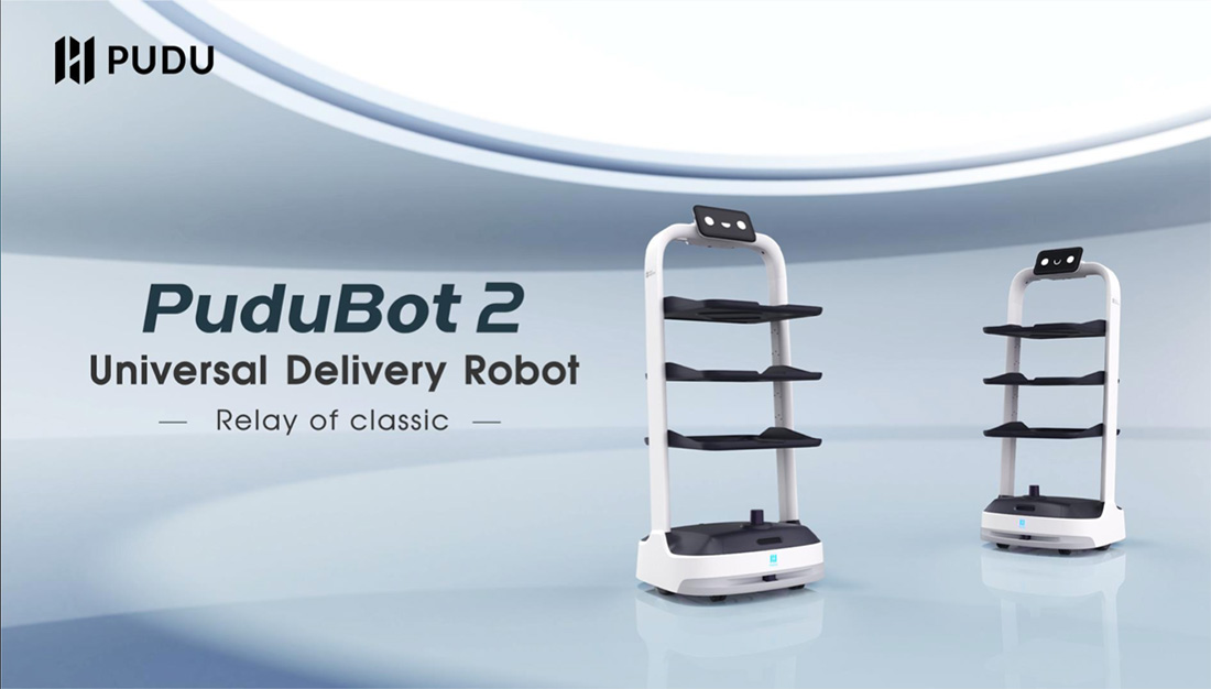 Pudubot2 – Social Robot